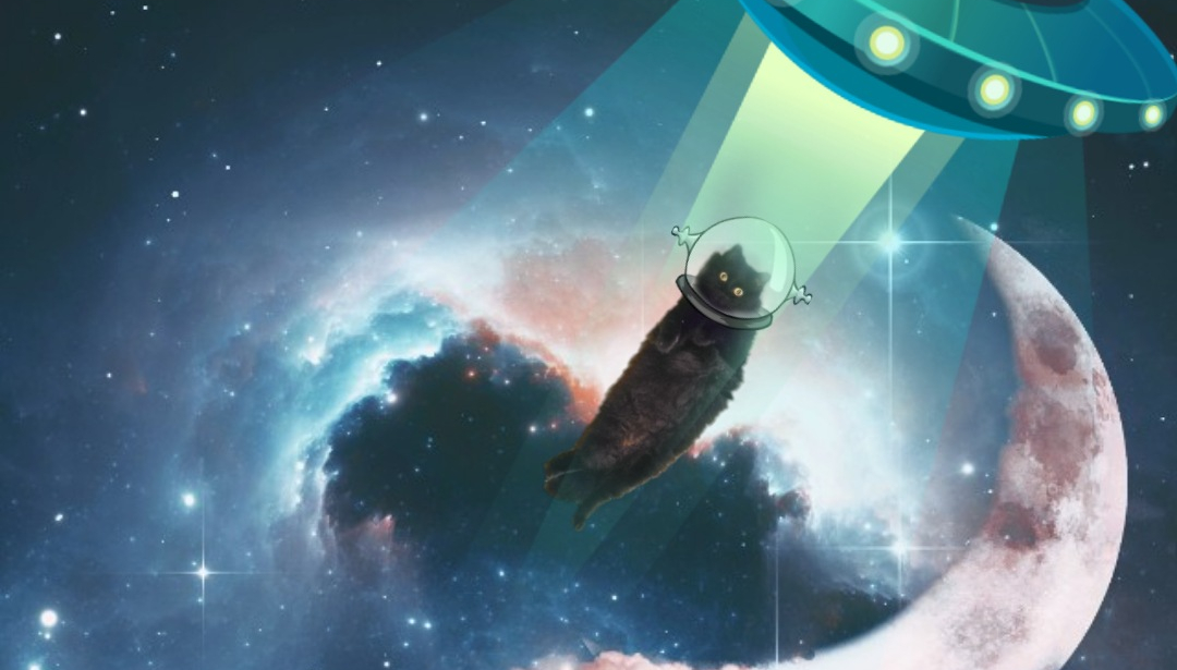 The Hello!Galaxy Space Shuttle Destined for the Frill Stellar System Departs on 19.2.2021 ...